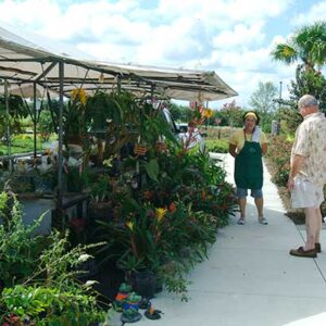 Circle Square Commons - On Top of the World Communities